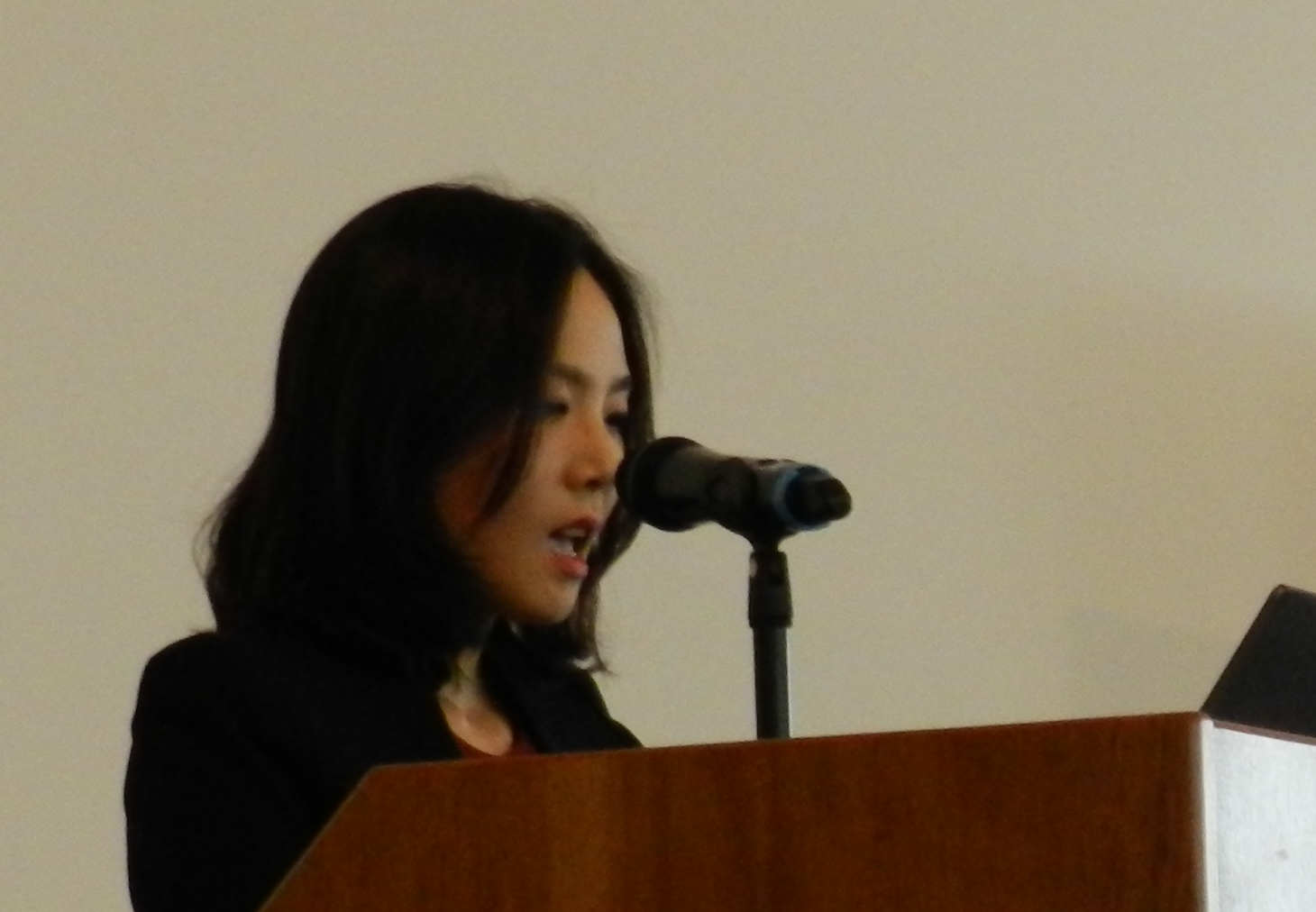 The Korean Peninsula and Denuclearization: Where Are We Now? - Vienna ...
