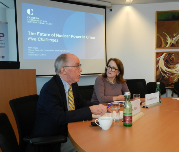 The Future of Nuclear Power in China: Five Challenges - Vienna Center ...